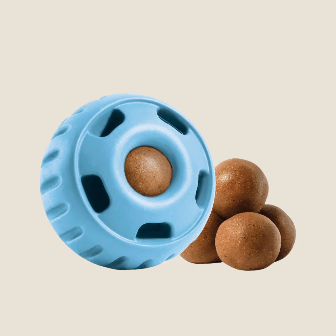 Woof Dog Pupsicle Blue Large — NurturePet Pet Supply