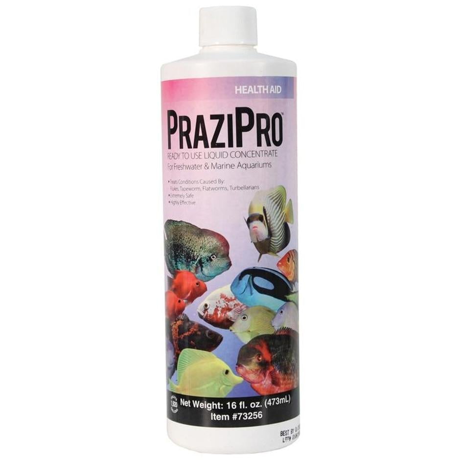 AQUARIUM SOLUTIONS PRAZIPRO — NurturePet Pet Supply